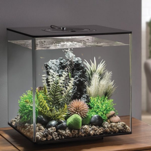 biOrb CUBE 60 L, LED - Vattenliv