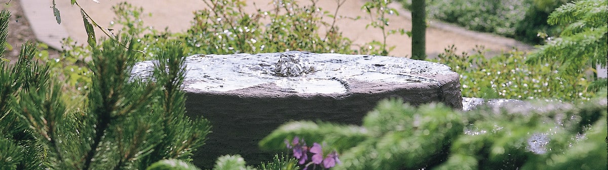 Bygga springbrunn - Vattenliv